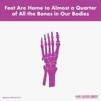 27 (Fun!) Foot Facts: Anatomy, Healthy Feet And Problems