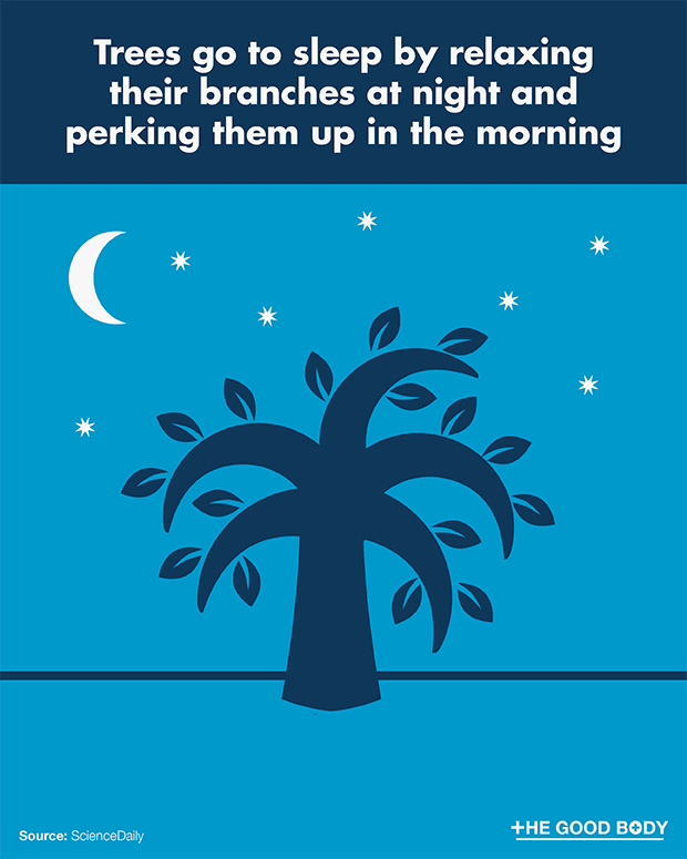 68 (Surprising) Sleep Facts: Scary, Important, Interesting, Fun!