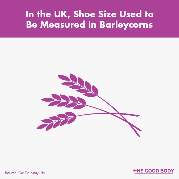 27 (Fun!) Foot Facts: Anatomy, Healthy Feet And Problems