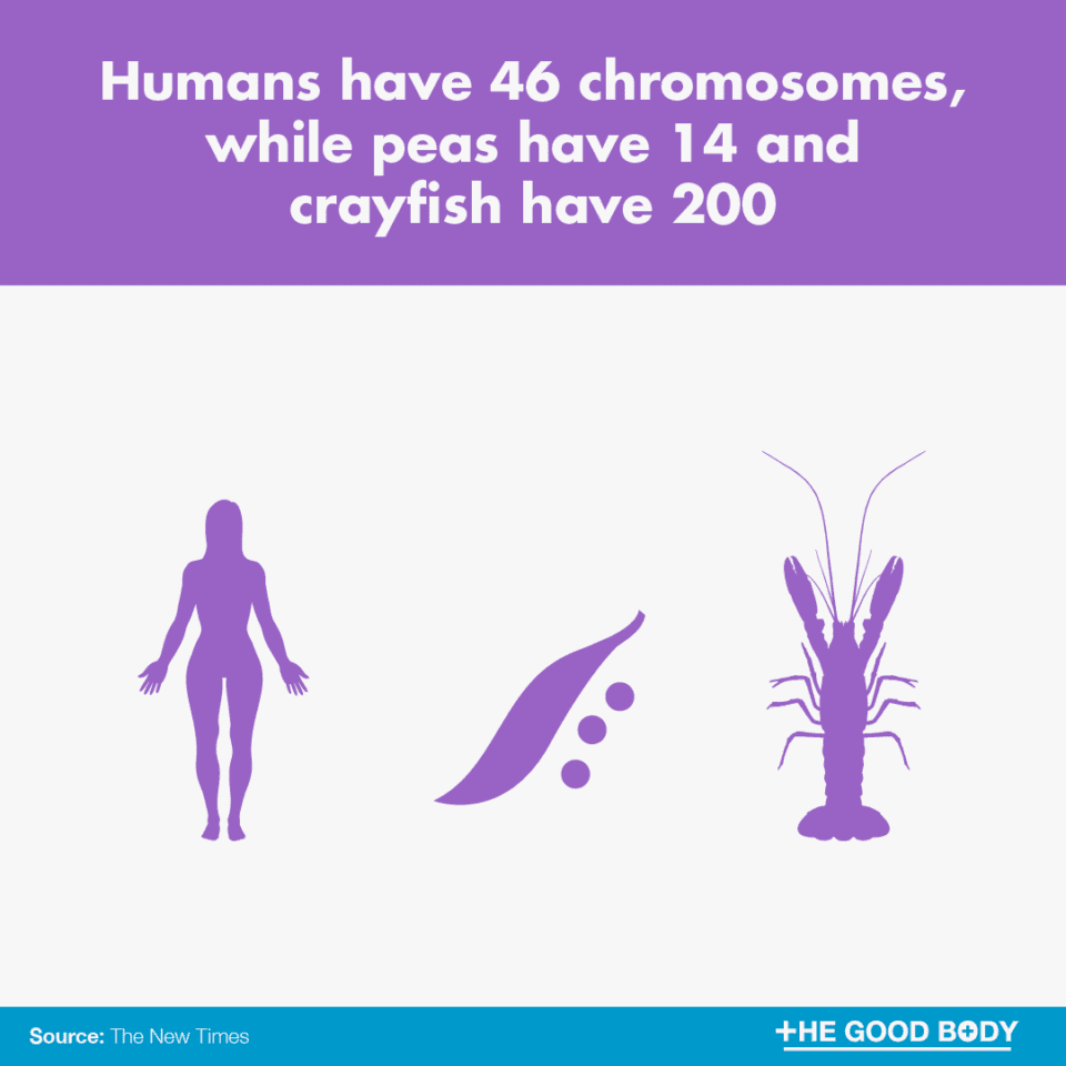 15 Weird Facts about the Human Body