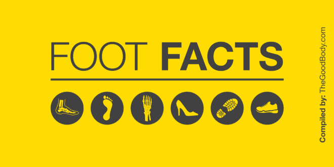 37 Fun Foot Facts: The Hidden Side Of Your Incredible Feet!