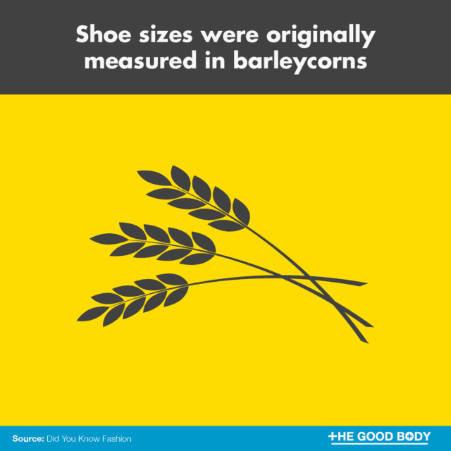37 Fun Foot Facts: The Hidden Side Of Your Incredible Feet!